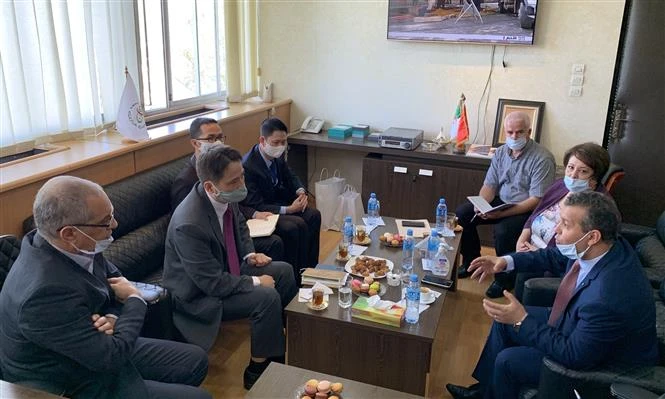 阿尔及利亚国家电视台希望加强与越南电视台的合作 | Vietnam+ (VietnamPlus)