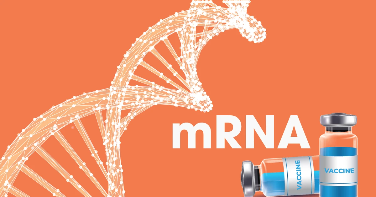 联合国开发计划署：越南迎来获得用于疫苗生产的新 mRNA 技术的机会 | Vietnam+ (VietnamPlus)