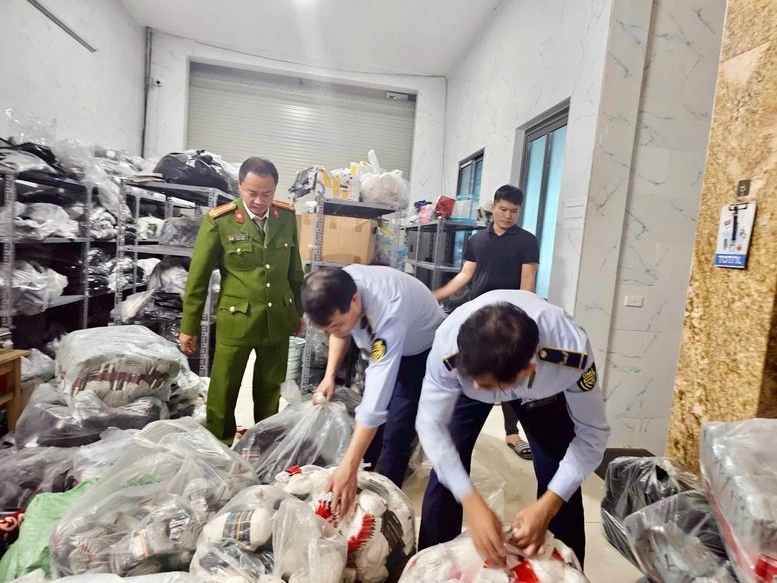 加强执法力量的执行效能 | Vietnam+ (VietnamPlus)