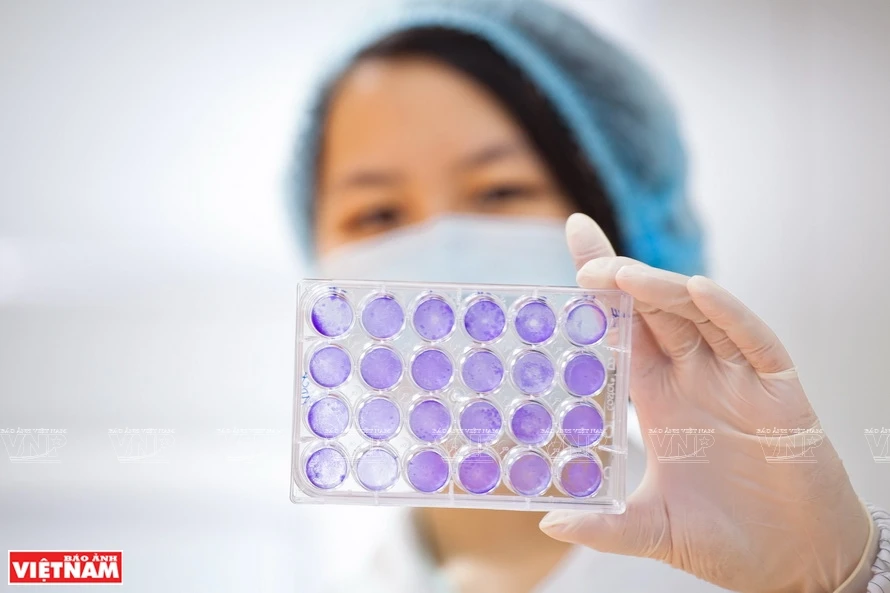 组图：VABIOTECH——越南一流疫苗品牌 | Vietnam+ (VietnamPlus)
